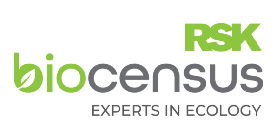 Hannah success RSK ecologists and army reservist | RSK Group Hannah success RSK ecologists and army reservist | RSK Group