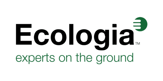 Explore RSK businesses | RSK Group